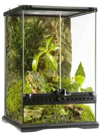 Lizard Cage and Habitat Terrarium Setup and Care