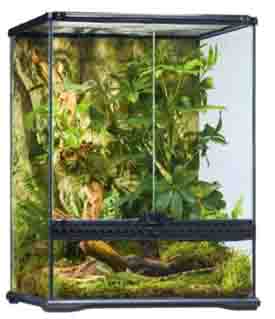 Lizard Cage and Habitat Terrarium Setup and Care